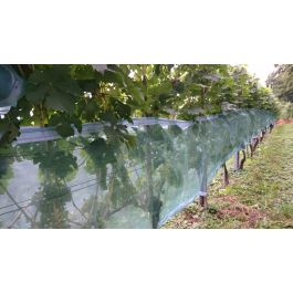 Filet anti-insectes (mouche de la cerise)